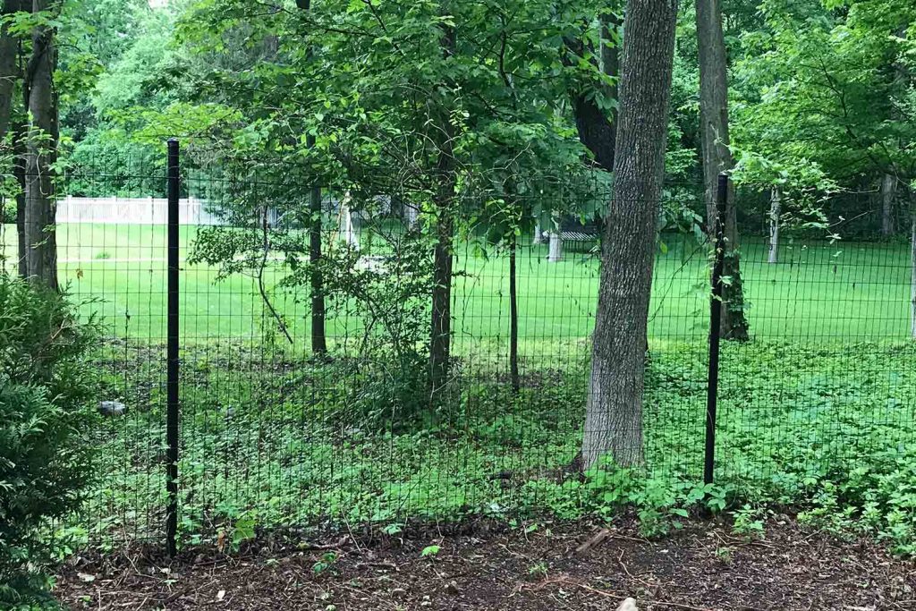 Deer Fencing - Fence Installation | Red Fox Fence, Inc.